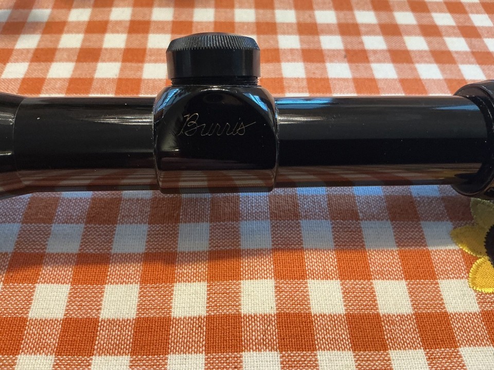 Burris 3x9 Mini Scope | eBay
