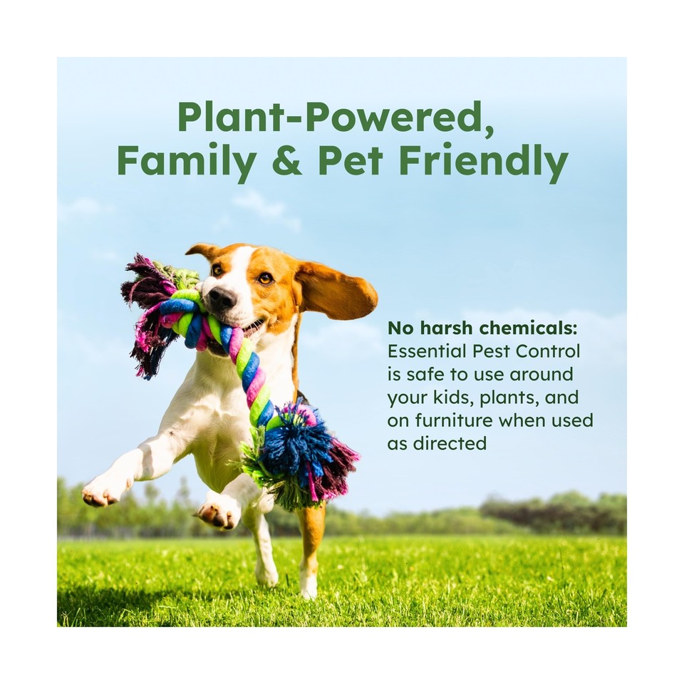 BugMD Ant Killer & Bug Spray Concentrate - Indoor Cockroach and Roach ...