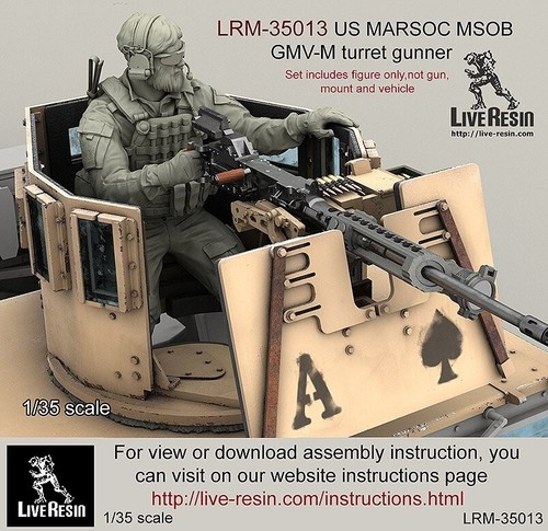 Live Resin LR-M35013 1/35 US Marine SOB/Navy Seals Gunner | eBay