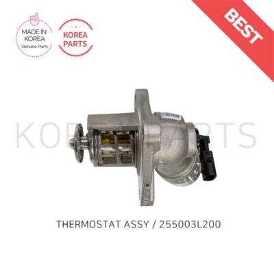 GENUINE Thermostat ASSY Kia Stinger 2018+ 255003L200 | eBay