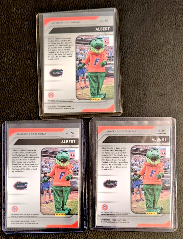 Collage Football Florida Mascots lot of 3 cards 2019 | eBay