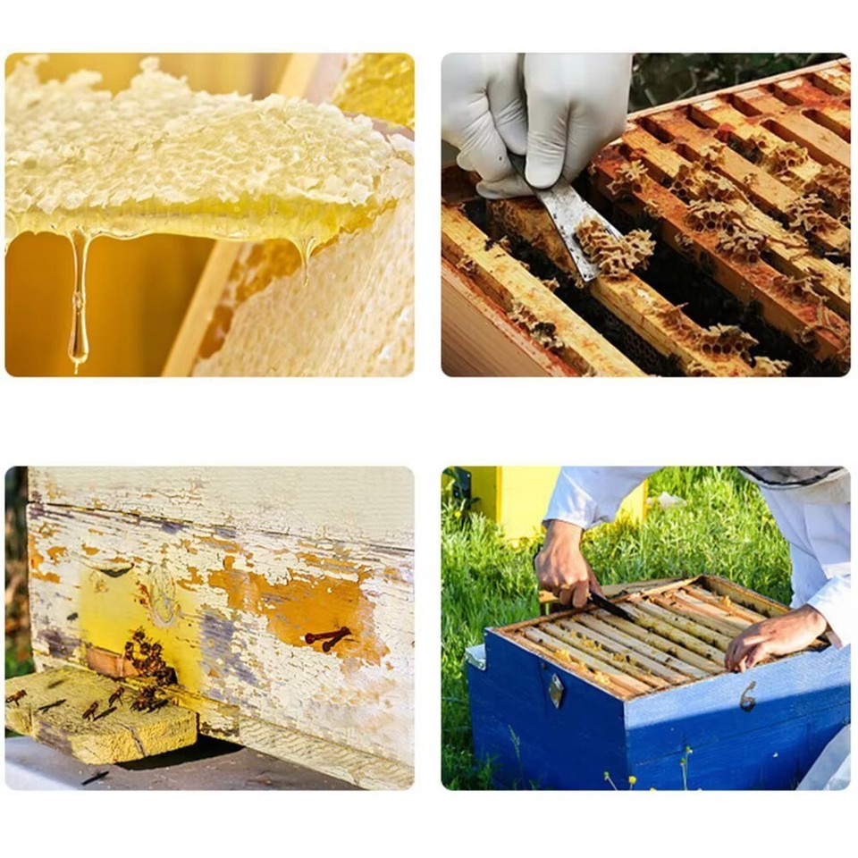 New Stainless Steel Bee Scraper Beekeeper Honey Knife Beekeeping ...