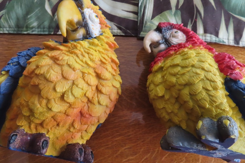 Pair of Resin Parrot Figurines 7 1/2" Realistic Very Nice Condition | eBay