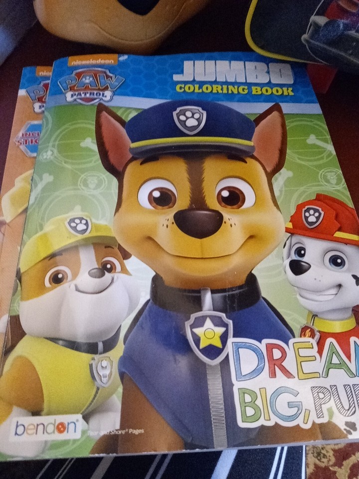 Paw Patrol 16″ Paw Patrol Case Rolling Luggage carrying case and ...