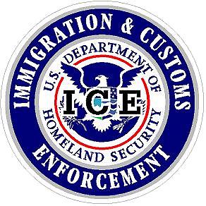 Dept of Homeland Security Reflective Vinyl Decal Sticker DHS ICE Police ...