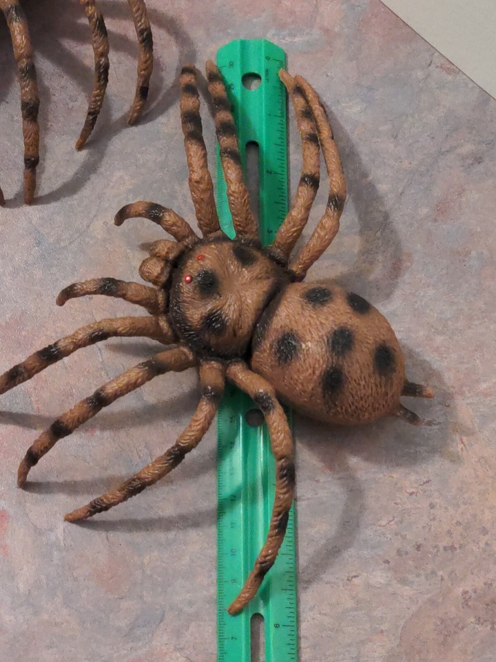 Spider Tarantula 9" Halloween Decorations Lot Scary Realistic Decor ...