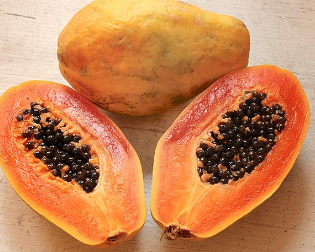 NEW NEW RED ROYALE PAPAYA Fruit plant Tree 5 SEEDS-Free Shipping (USA ...