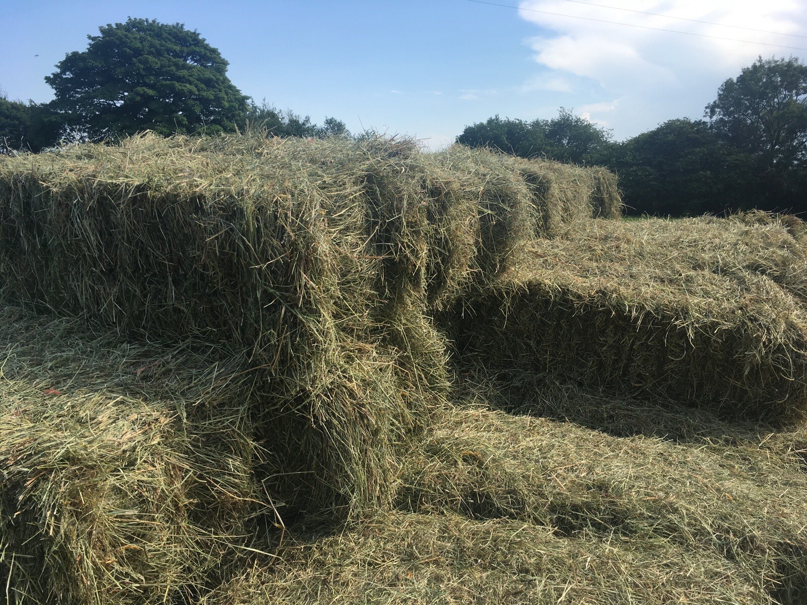 Small Bale Haylage | eBay UK