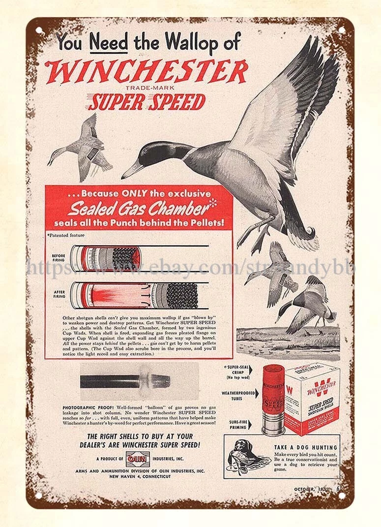 Duck Hunting Shotgun Shells