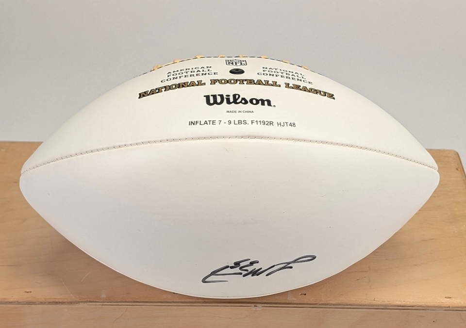 Wilson NFL White Panel Football Signed Autograph Unknown Signature ...