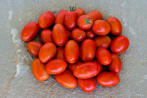 TOMATO 'Cherry Roma' 35+ seeds HEIRLOOM mini grape AUSTRALIAN vegetable ...