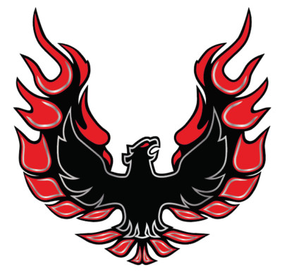 Pontiac Firebird Trans Am Year One Bandit Vinyl Sticker Decal Car ...