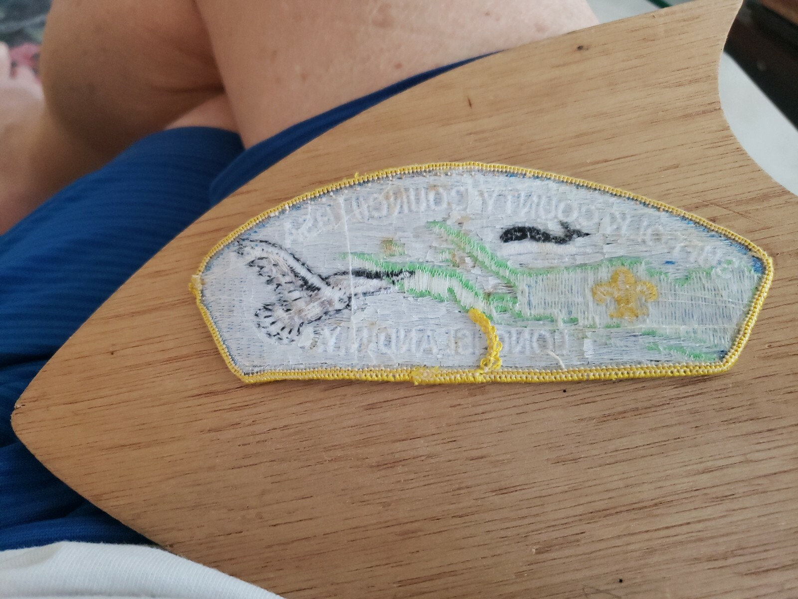 Boy Scout Suffolk County Council Shoulder Patch BSA CSP Long Island NY ...