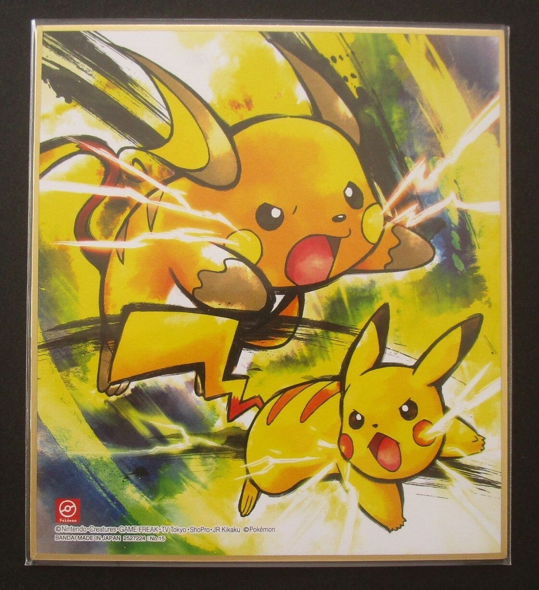 Raichu Vs Pikachu Pikachu Raichu Pokemon