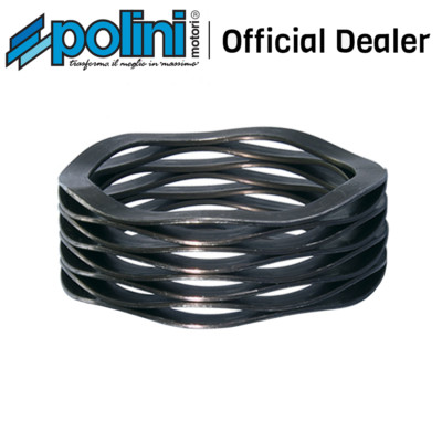 Polini Wave Spring For Piaggio Vespa 50 2T PK For Race Evolution ...