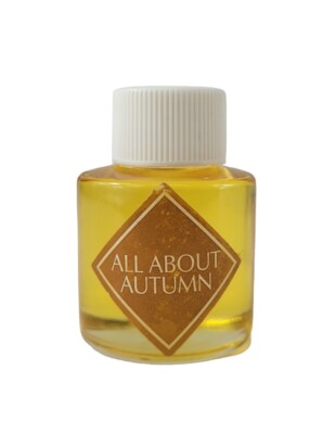 Vtg Earth Elements All ABout Autumn Home Fragrance & Refresher Oil 1 fl ...