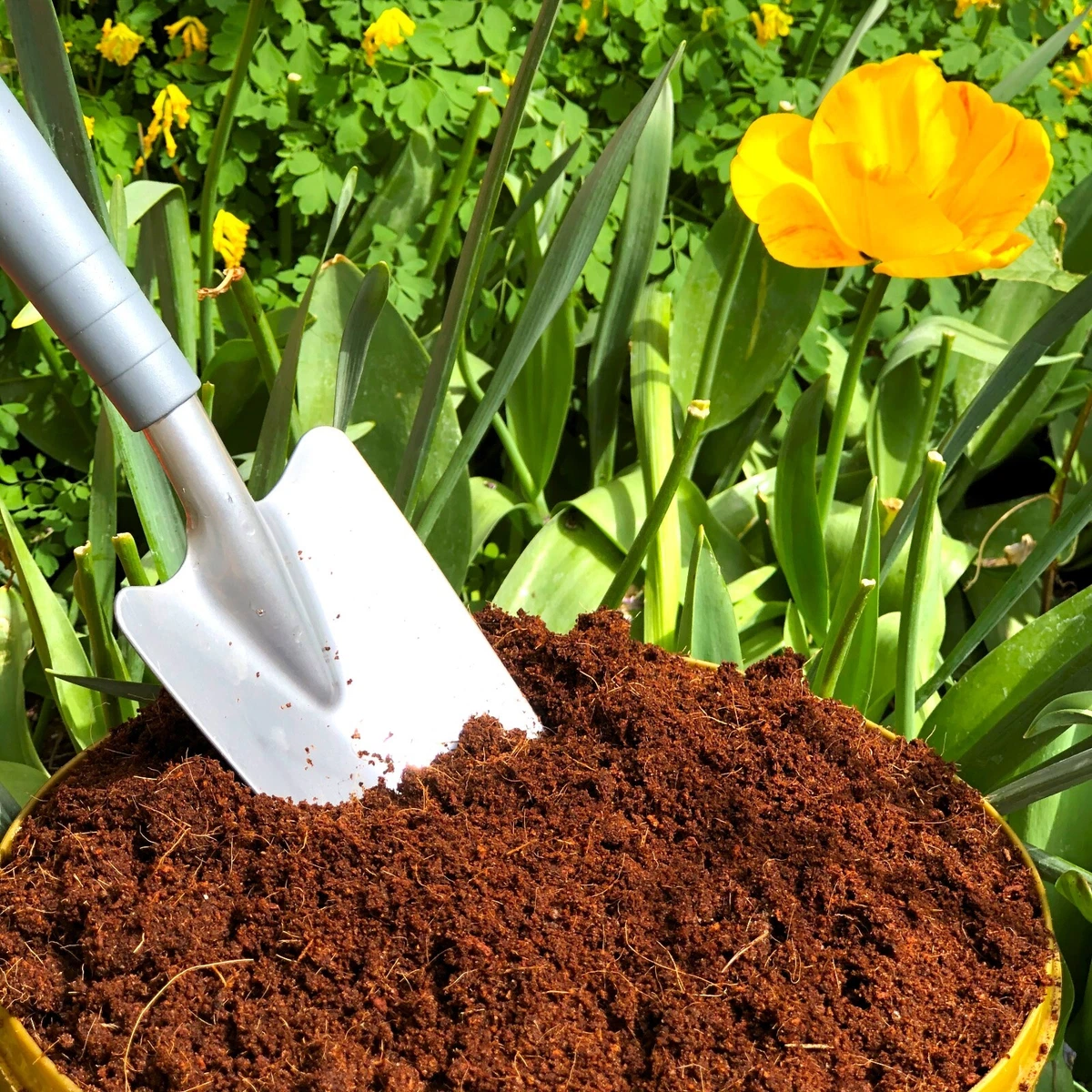 11 Peat-Free Compost Brands For Feeding Plants Without, 44% OFF