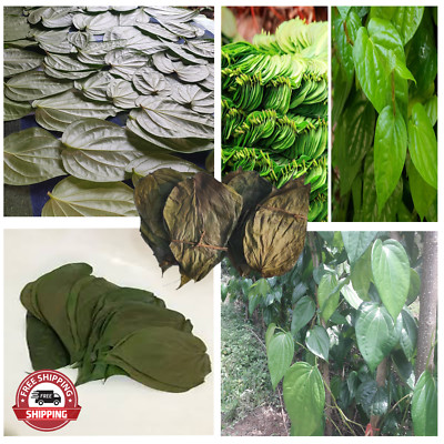 Betel dried leaves Organic Herbal 100% Ceylon Natural Pure Leaves free ...
