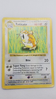 Pokémon TCG Raticate Base Set 40/102 Regular Shadowless Uncommon | eBay