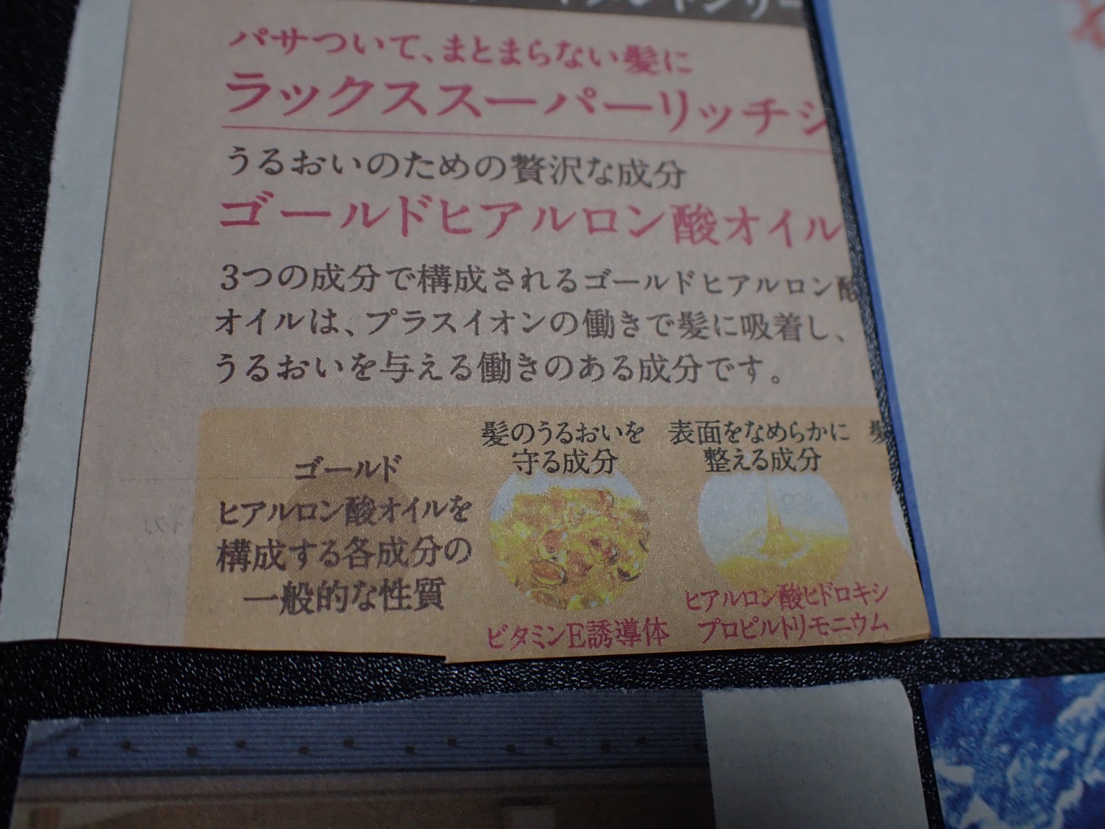 Pokemon Newspaper Clipping Mega Evolutions x9 Gardevoir Garchomp etc ...