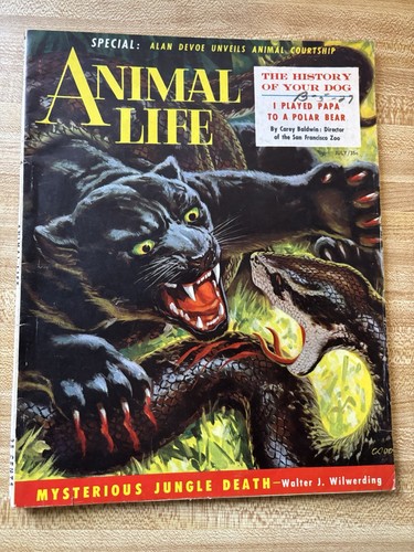 Vtg Pulp Animal Life Magazine 1954- Monsters, Cryptoids, Africa ...