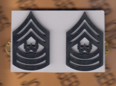 US Army Vietnam era E-9 Command Sergeant Major CSM plastic Combat rank ...