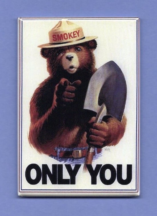 ONLY YOU POSTER *2X3 FRIDGE MAGNET* CAN PREVENT FOREST FIRES SMOKEY THE ...