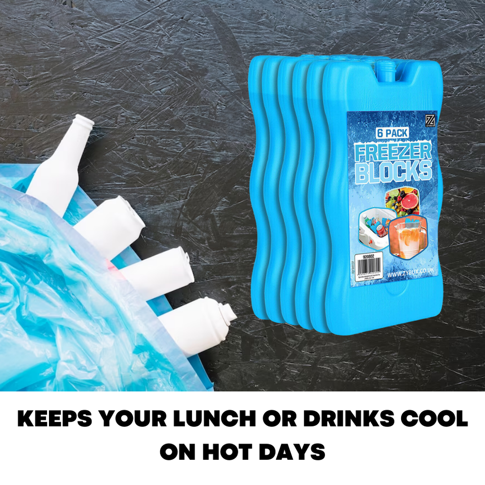 6x Freezer Block Ice Pack Cool Cooler Lunch Box Bag Small Reusable ...