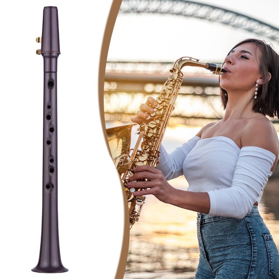 Mini Pocket Saxophone C Key Saxophone for Music Lovers Beginnern | eBay