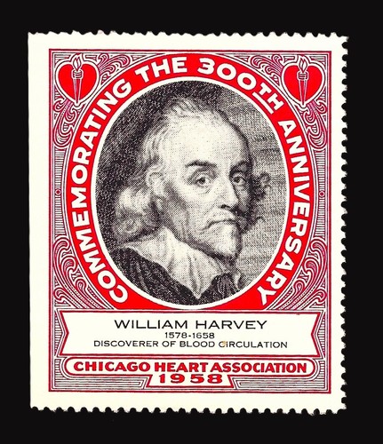 300th Anniversary - Discovery of Blood Circulation Poster Stamp ...