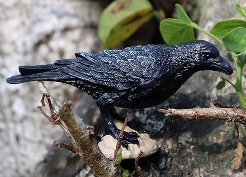 7.5cm Crow Plain Bird PVC Toy Wild Animal Figure Doll Kids Gift | eBay