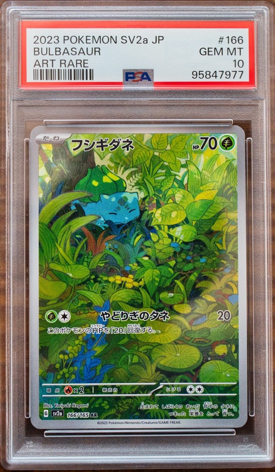 PSA 10 Venusaur Bulbasaur Ivysaur SAR AR SEQ set Japanese sv2a Pokemon ...