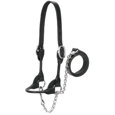 Cattle - Beef - Show Halters