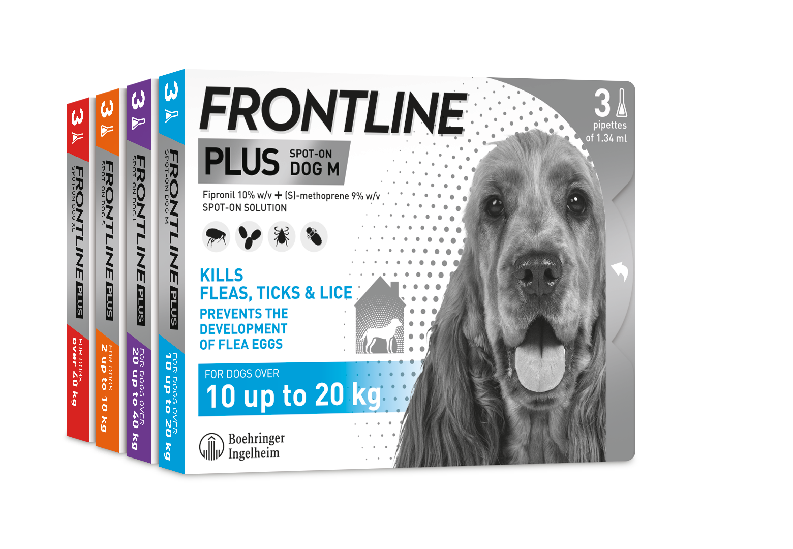 FRONTLINE SPOT ON PLUS CAT DOG Flea Lice Tick Treatment Solutions Kills ...
