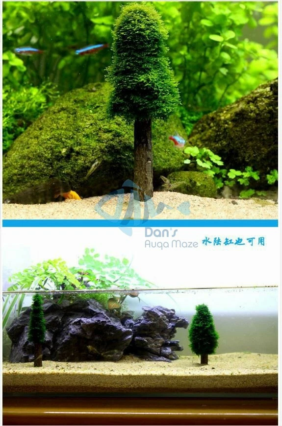 Java Moss Tree