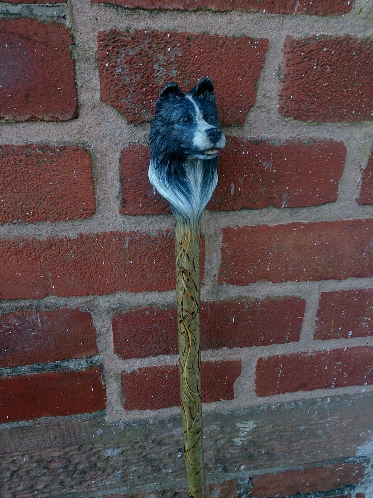 Wooden walking stick Border Collie dog handle walking… - Gem