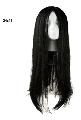 Spooky Black Wig Adult 24" Long, One Size Halloween Costume Goth, Cher ...