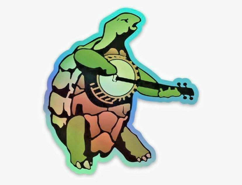 Terrapin Station Turtles