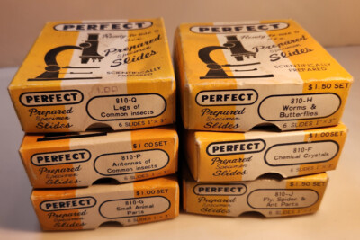 Perfect Prepared Specimen Slides, 6 boxes, 6 Slides per Box, 810-P,J,F ...