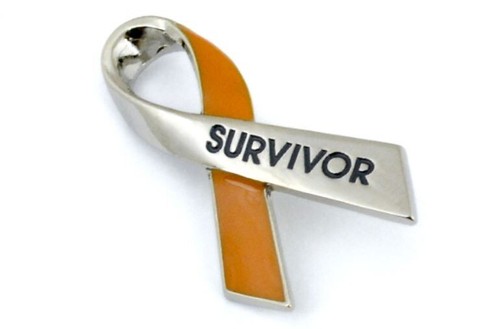 Appendix Cancer Awareness SURVIVOR Lapel Pin Tie Tac Brooches Amber ...