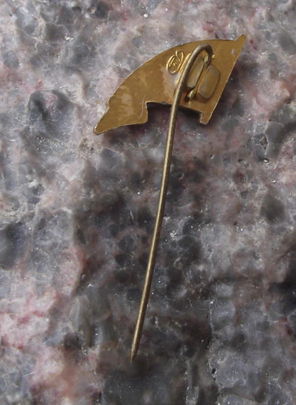 Vintage Moscow River Shipping Company Soviet Union Flag Pin Badge | eBay