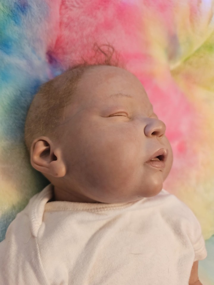 Reborn Baby Doll Jannie deLange Isabelle | Genesis Paints | Premium | eBay