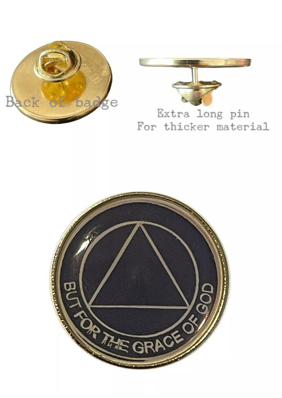 AA Alcoholics Anonymous Crested Logo & Moto Lapel Pin Badge | eBay UK