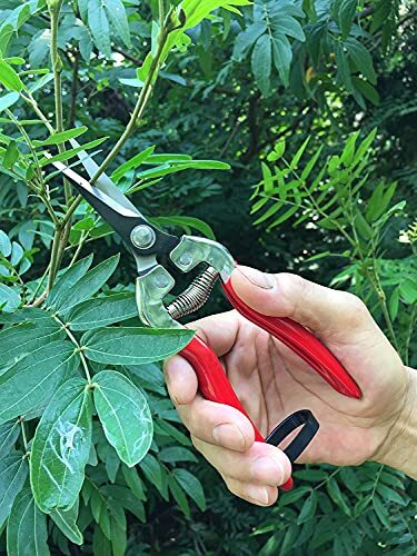Professional Micro-Tip Pruning Snip (GPPS-1008), Small Garden Hand ...