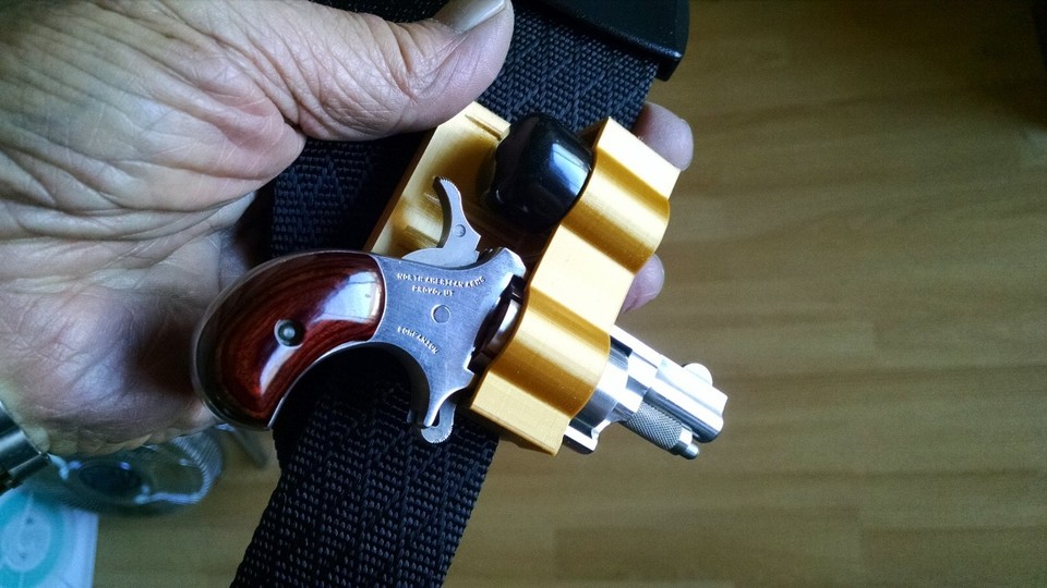 North American Arms NAA Companion or .22LR Gold /Brass color dual ...