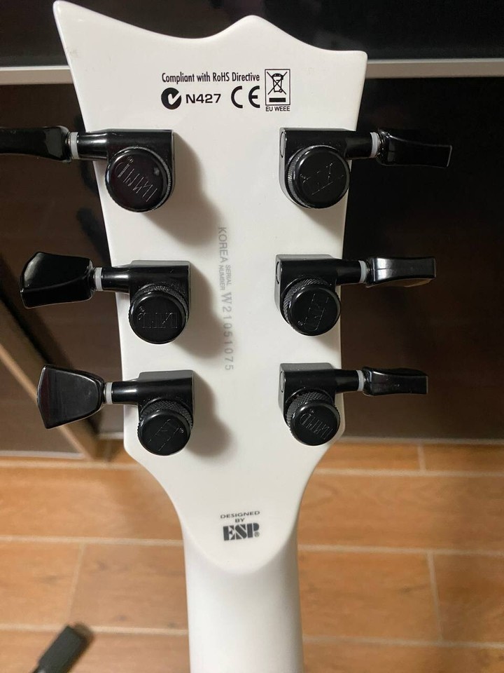 Korea ESP LTD Iron Cross James Hetfield Signature Electric Guitar With ...