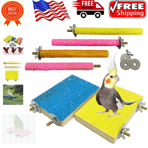 6-Pack Natural Wood Bird Perch Stand with Quartz Sand for Budgies and ...