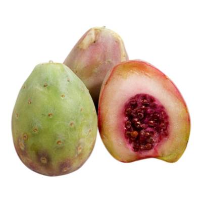 20 Seeds Opuntia xoconostle, joconostle matudae Acidic Prickly Pear ...