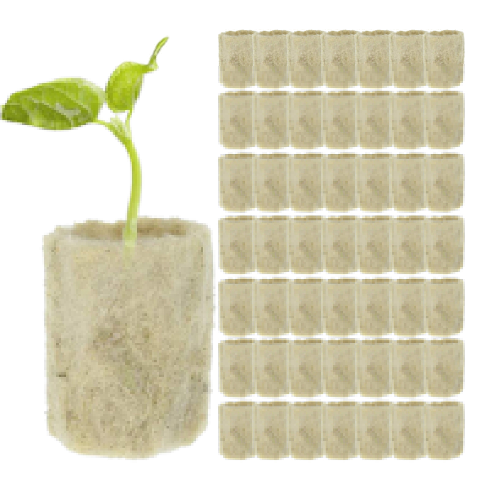 Starter Plugs , 50pcs Cubes for Cloning, Plant Propagation, Greenhouse ...