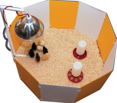 Farm Innovators Baby Chick Starter Home Brooder Pen with Adjustable ...